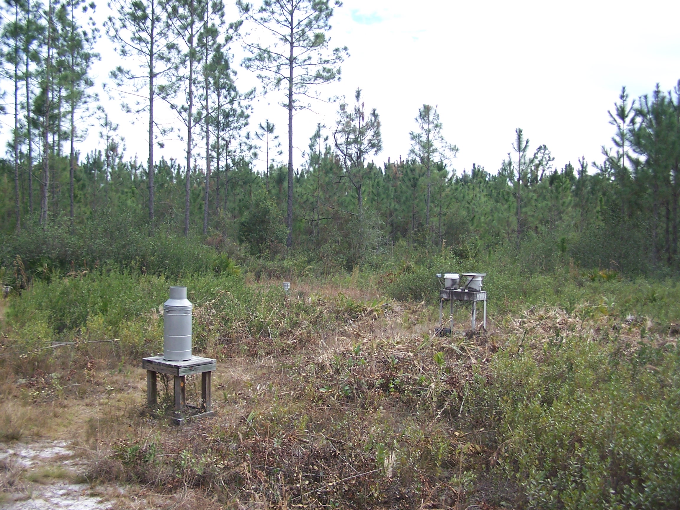 FL03_NTN_201302_Overview